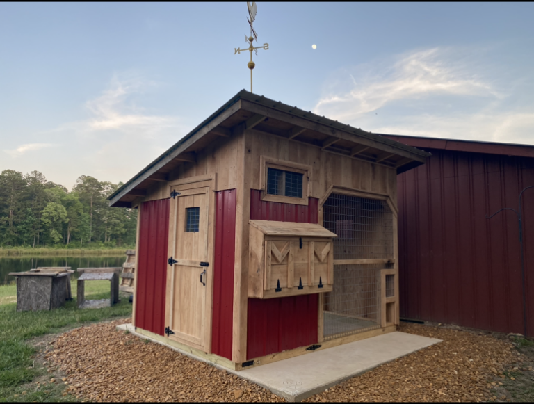 Building a Chicken Coop from Trees - Backyard Poultry